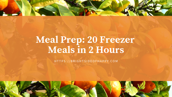 20 Freezer Meals in 2 Hours | The Bright Side of Happy